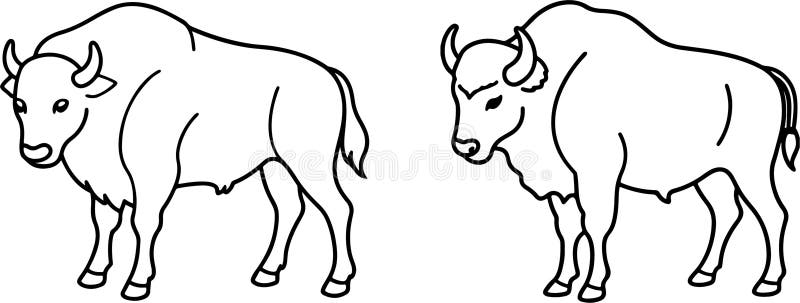 A Vector Outline Image of a Bison Stock Vector - Illustration of ...