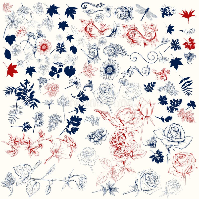 Vector Pack of Engraved High Detailed Flowers for Design Stock Vector ...