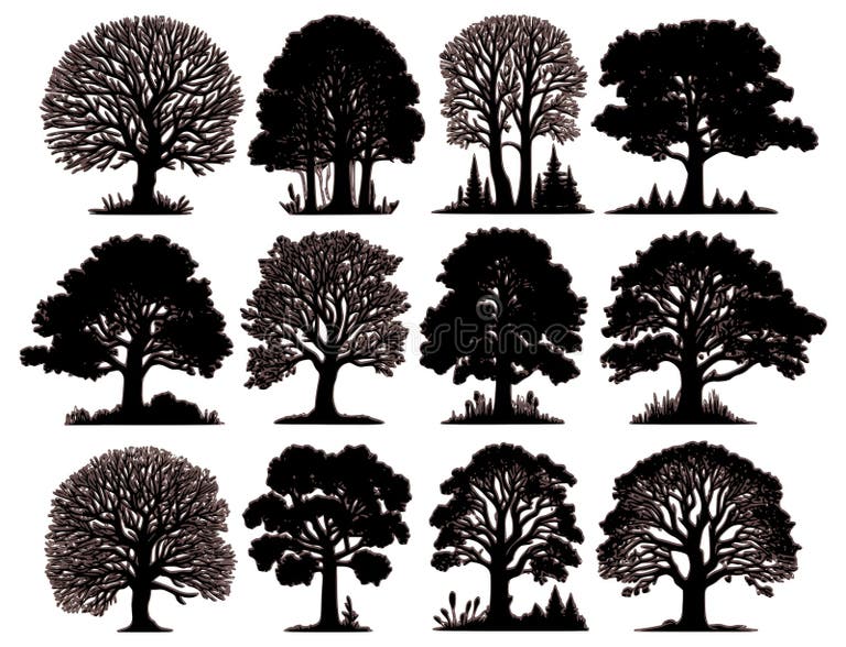 Vector Pack of Isolated Tree Silhouettes,allowing for Versatile ...