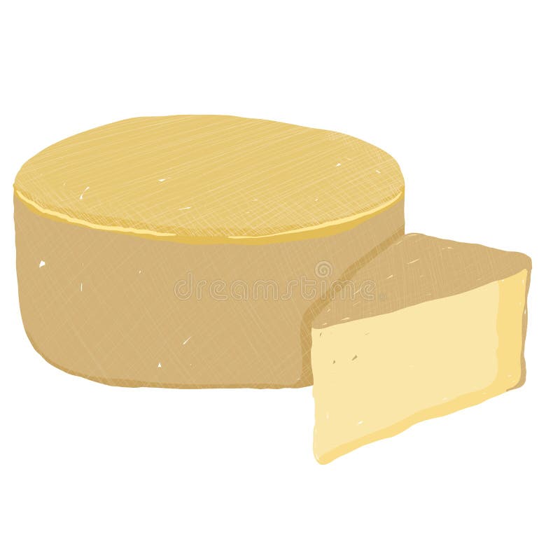 Vector Painterly Set of Parmesan Cheese, Whole and Sliced. Stock Vector ...