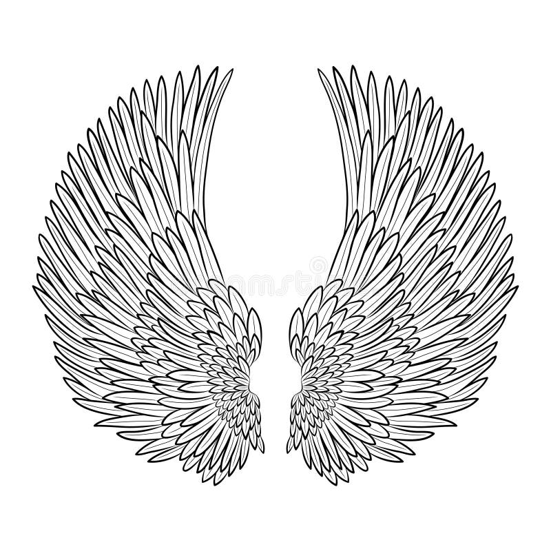 Vector Pair of Angel Wings in Contour Stock Vector - Illustration of ...