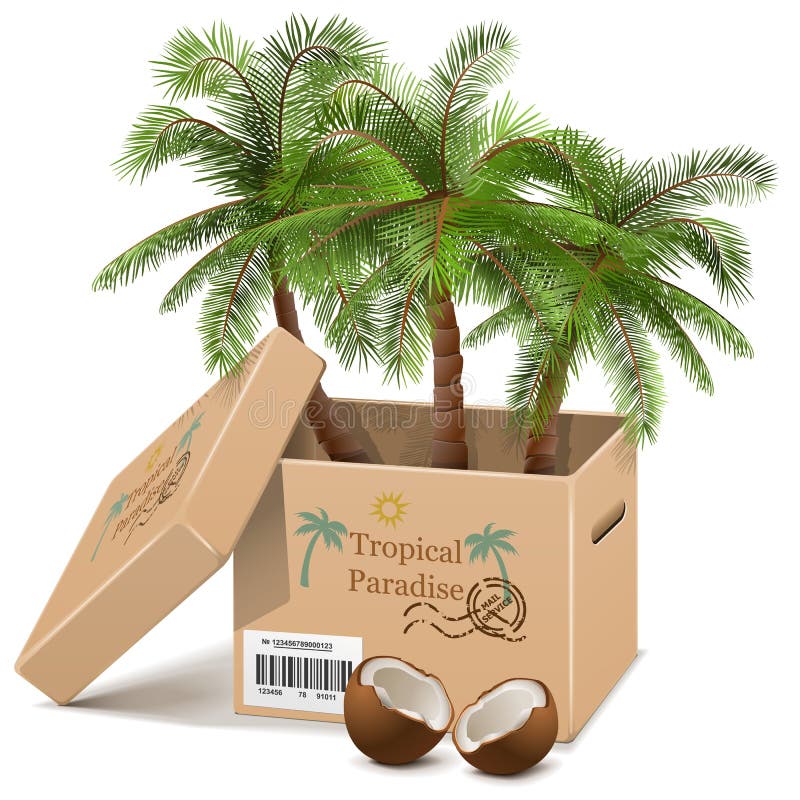 Vector Palm Tree in Box Isolated on White Background Stock Vector ...