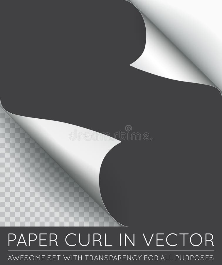 Vector Paper Page Curl With Shadow Isolated Stock Vector
