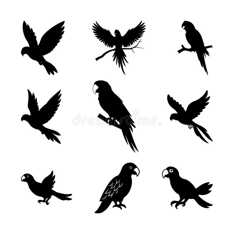 Vector Parrot Silhouettes of Amazon Jungle Isolated on White Background ...