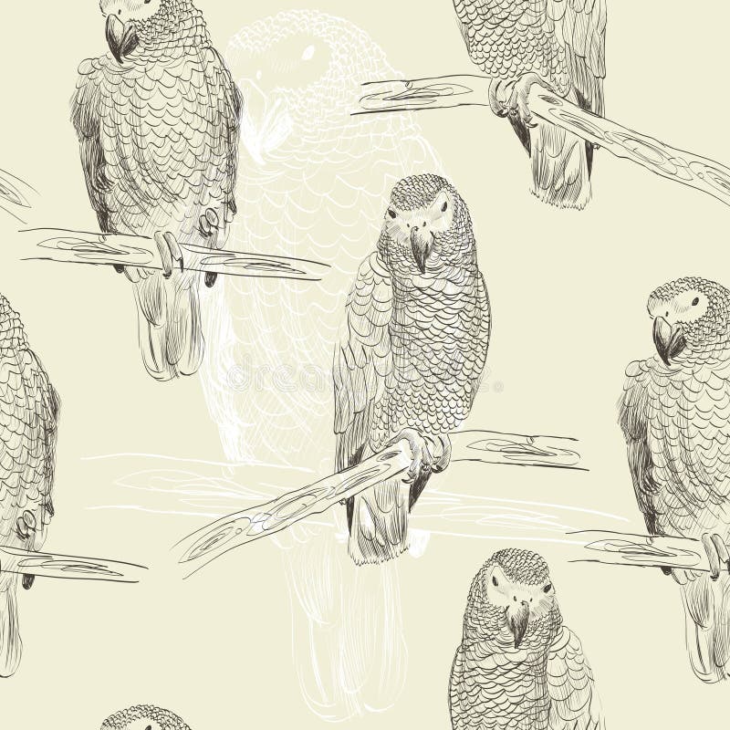Vector parrots stock vector. Illustration of cute, seamless - 293906104