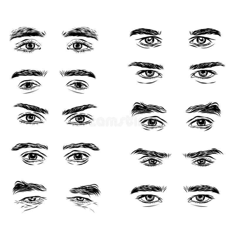 Eyebrows Reference
