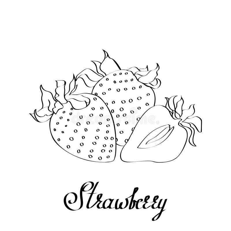 Vector Path Ink Strawberry Card with Type Stock Vector - Illustration ...