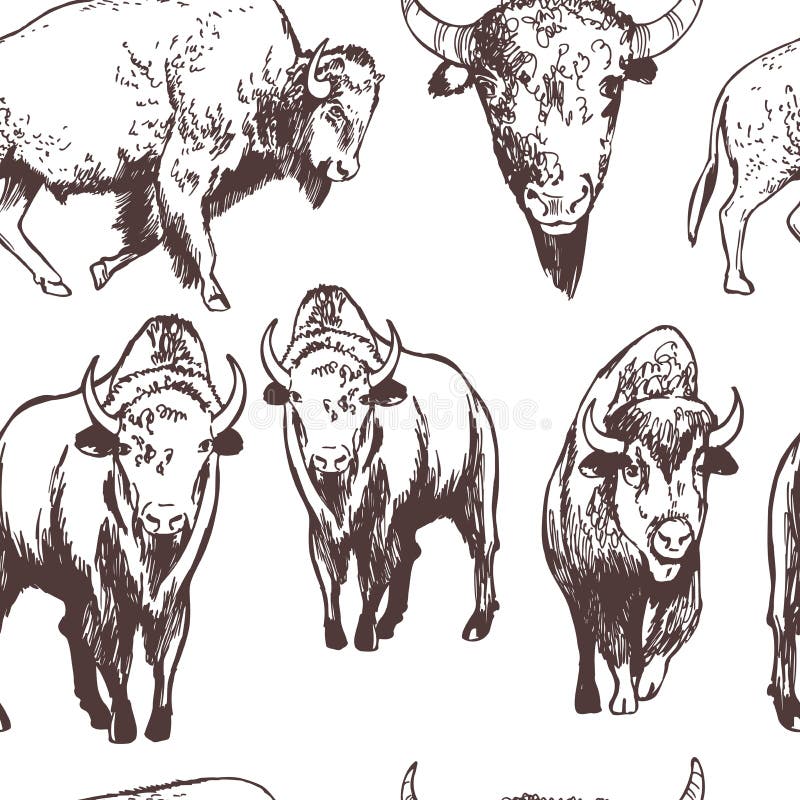 Native American Bison Pattern Stock Illustrations – 52 Native American ...