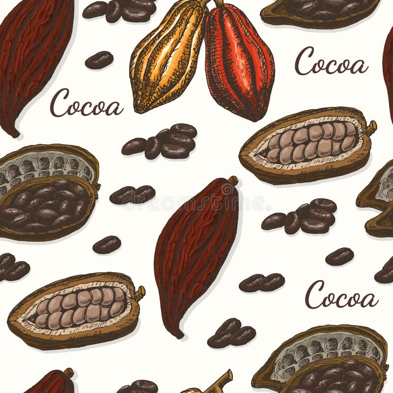 Vector pattern with cocoa stock vector. Illustration of food - 87341957