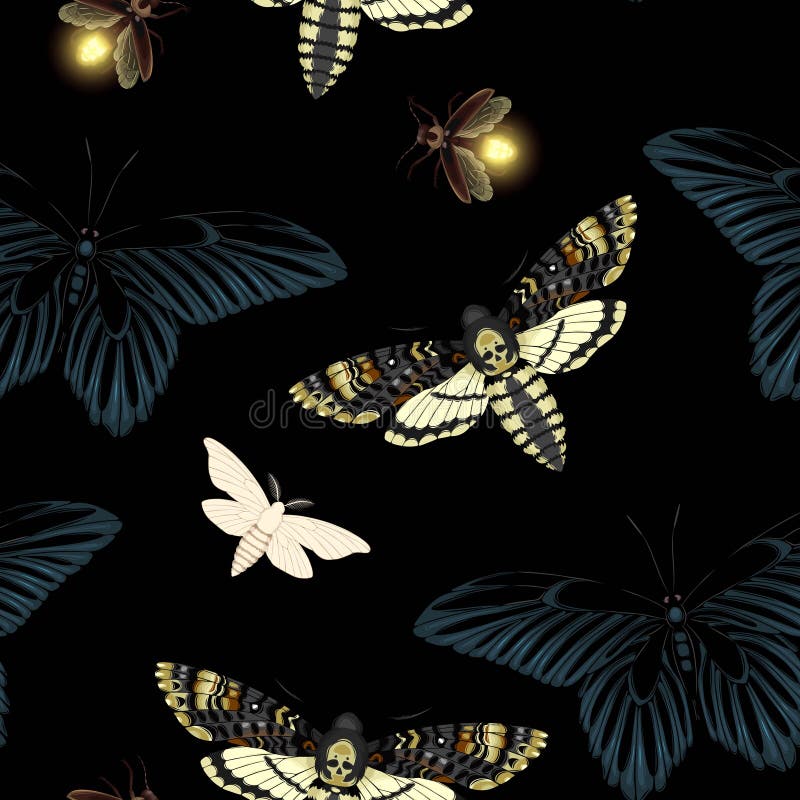 Vector Pattern with Death Head Hawk Moth Stock Vector - Illustration of ...