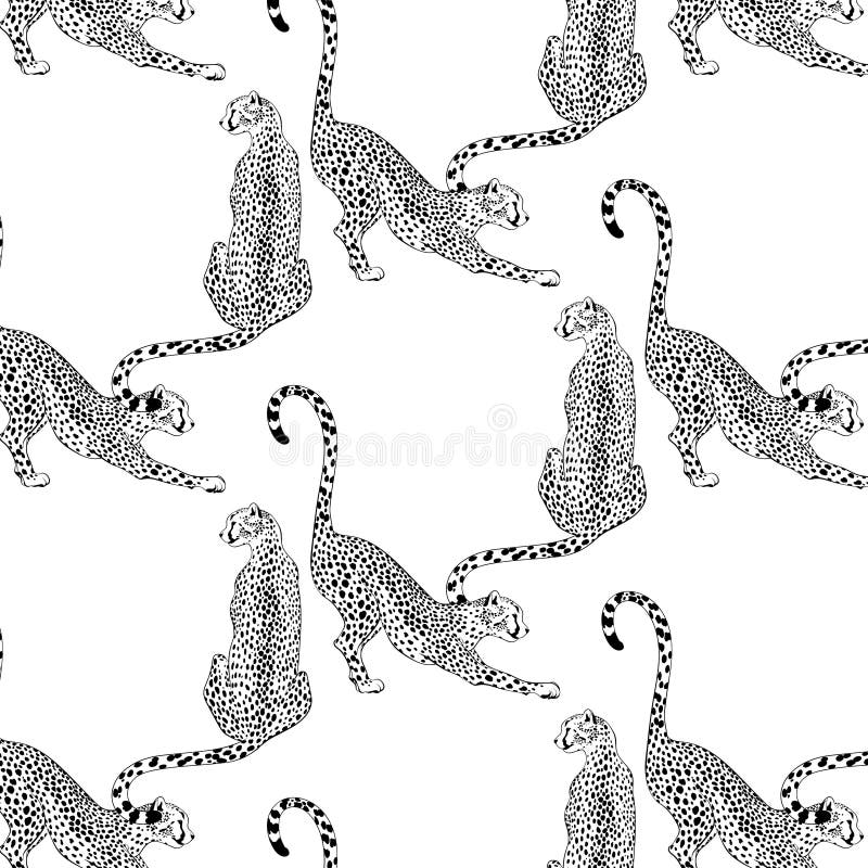 Vector Pattern with Hand Drawn Illustration of Cheetah Isolated. Stock ...
