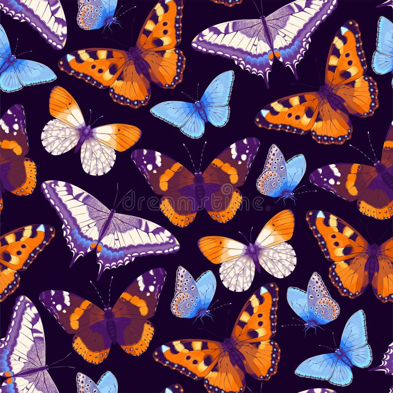 Vector Pattern with High Detailed Butterfly Stock Vector - Illustration ...