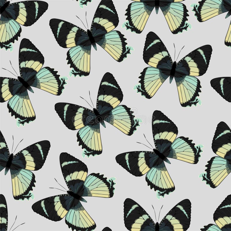 Vector Pattern with High Detailed Tropic Butterfly Stock Vector ...