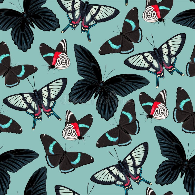 Vector Pattern with High Detailed Tropic Butterfly Stock Vector ...