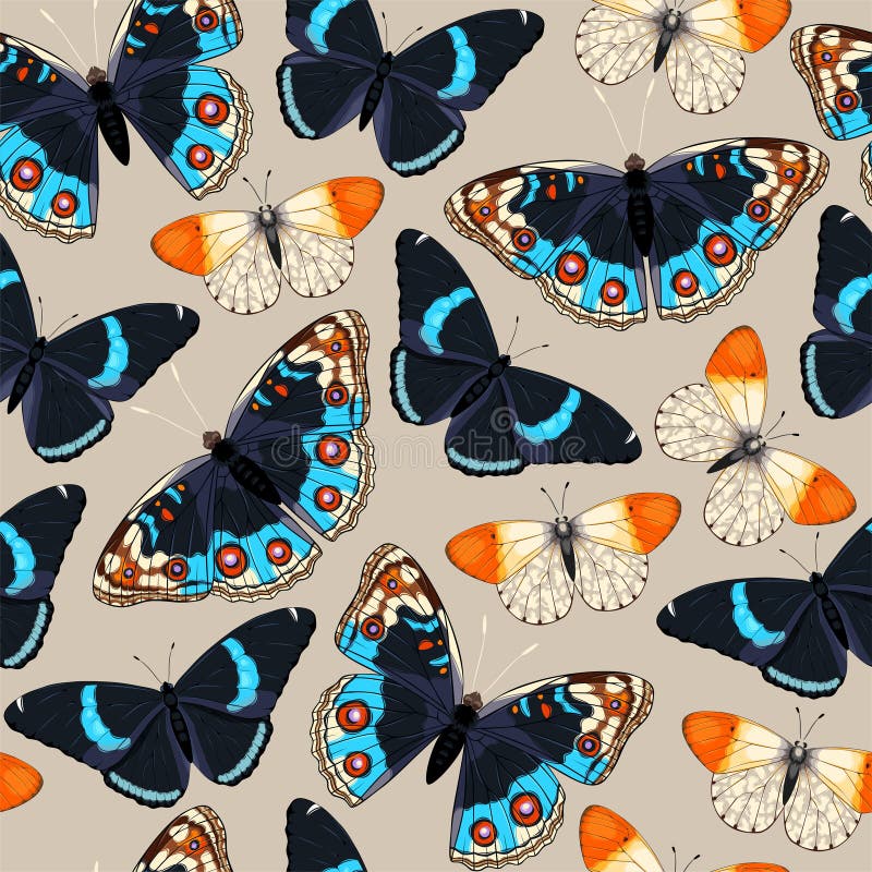 Vector Pattern with High Detailed Tropic Butterfly Stock Image - Image ...