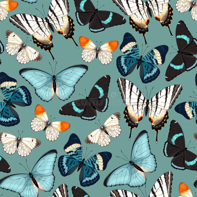 Vector Pattern with High Detailed Tropic Butterfly Stock Vector ...