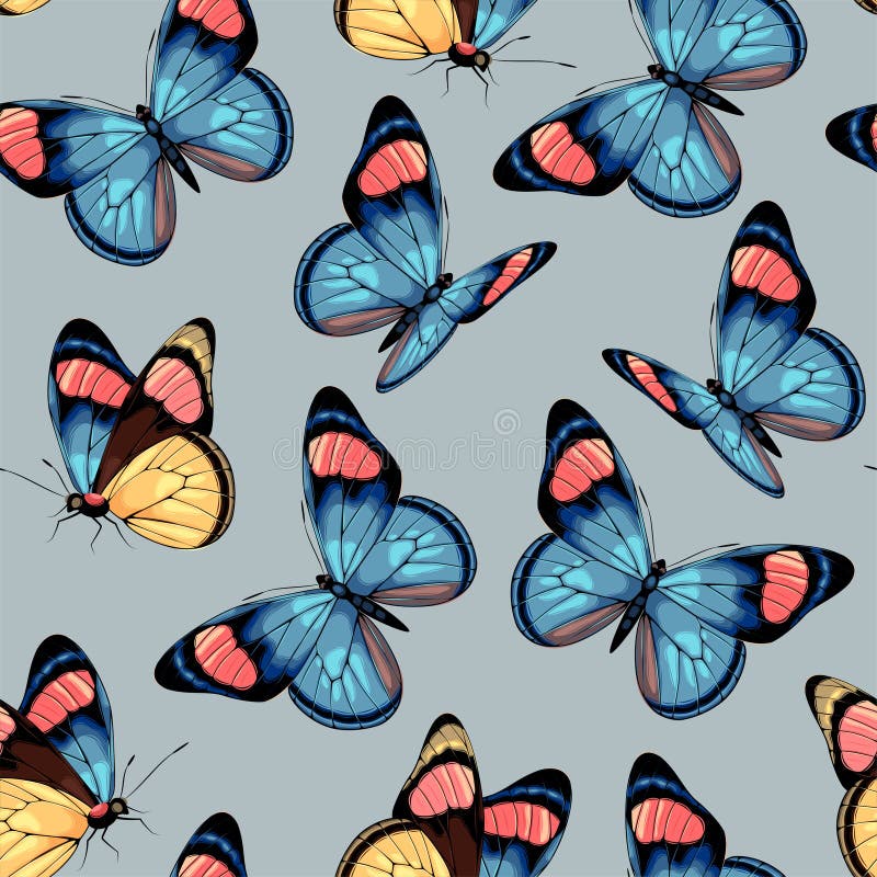 Vector Pattern with High Detailed Tropic Butterfly Stock Image - Image ...