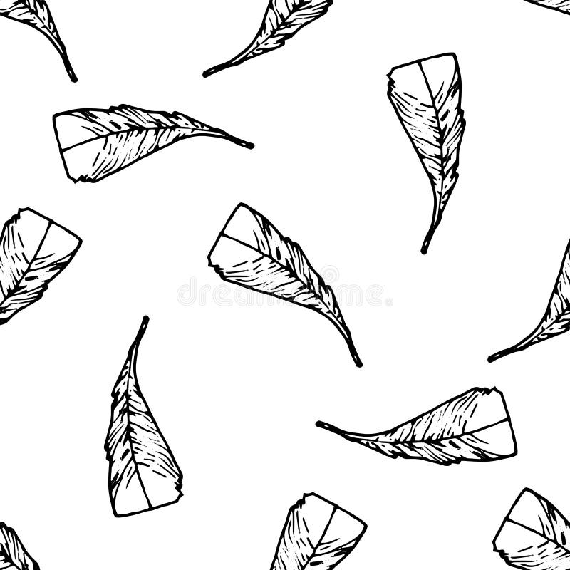 Vector Pattern Made of a Bird`s Feather. Seamless Pattern of a Hand ...
