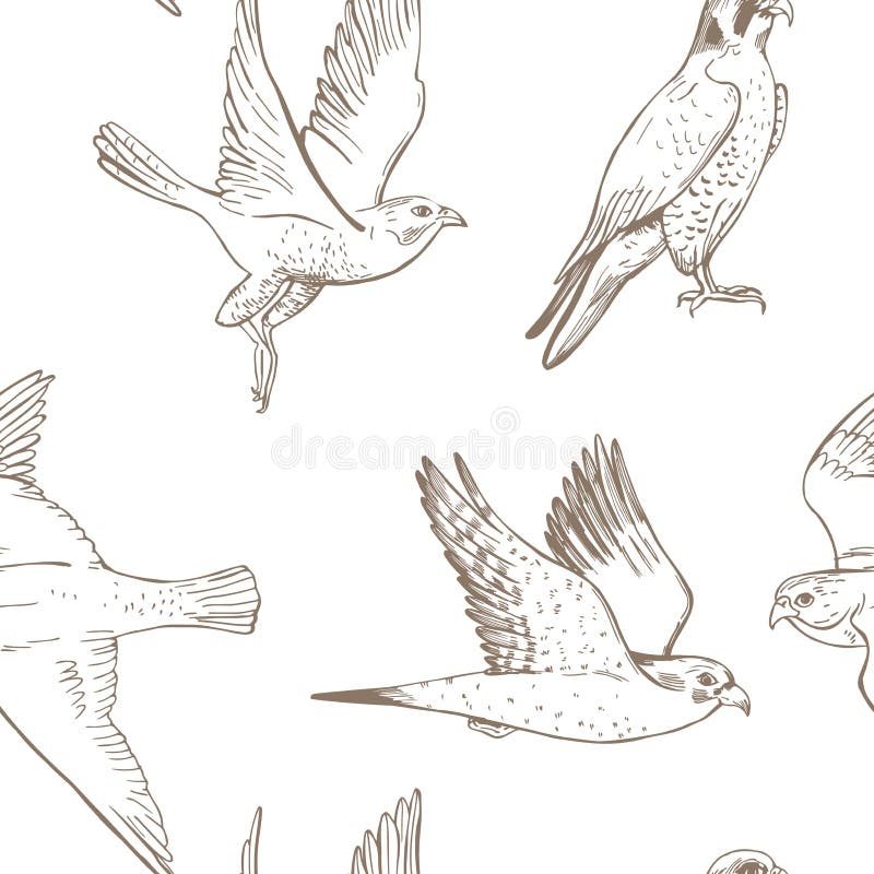 Vector Pattern with Peregrine Falcon Stock Vector - Illustration of ...
