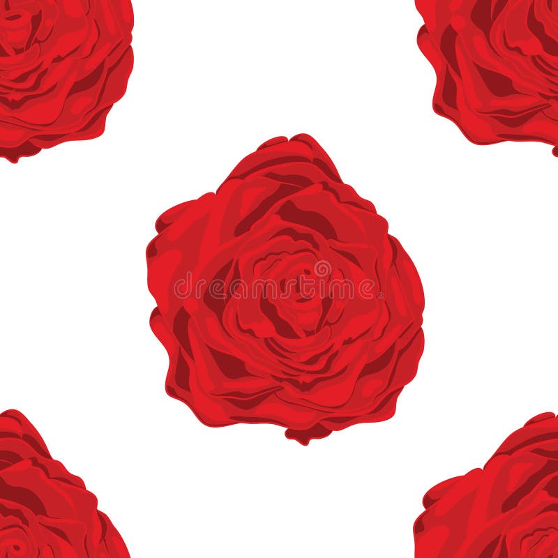 Vector Pattern of Red Roses in White Background Stock Vector ...