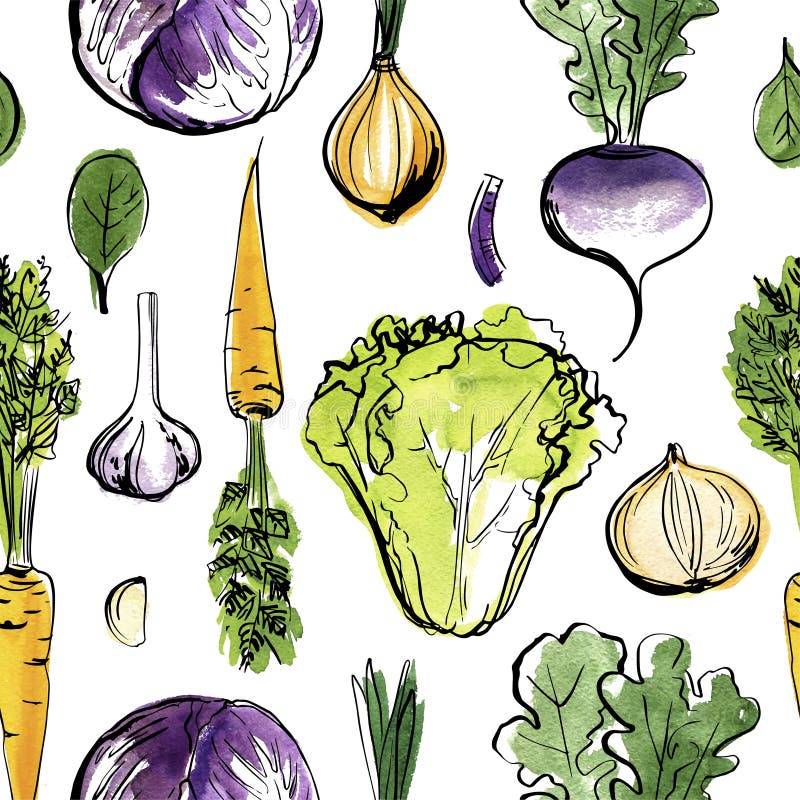 Vegetables Set With Color Outlines Stock Vector - Illustration of ...