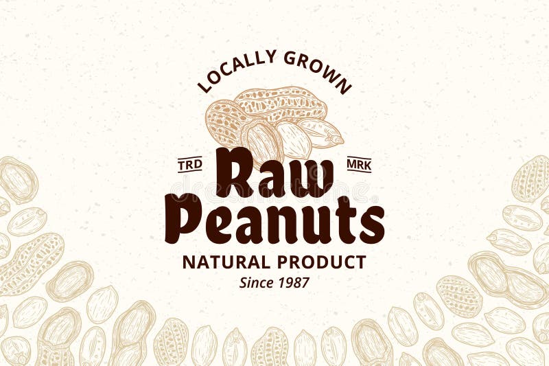 Vector peanut logo stock vector. Illustration of peanuts - 284984528