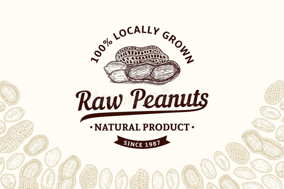 Vector peanut logo stock vector. Illustration of advertising - 284984502