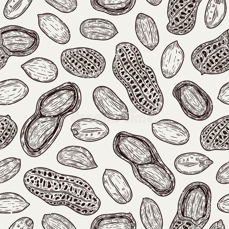 Vector Peanut Shells and Seeds Seamless Pattern Stock Vector ...
