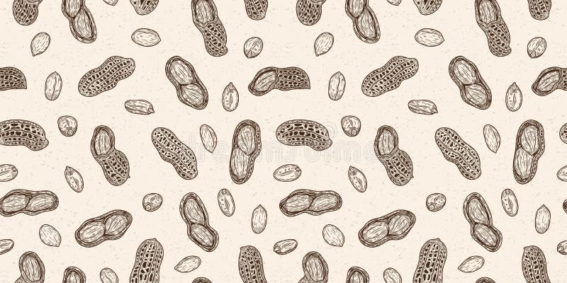 Vector Peanut Shells and Seeds Seamless Pattern Stock Vector ...