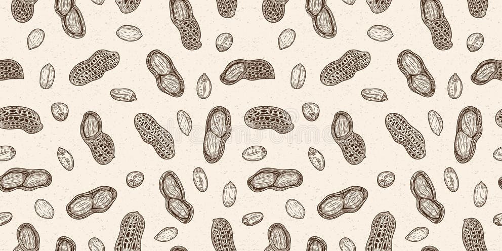Vector Peanut Shells and Seeds Seamless Pattern Stock Vector ...