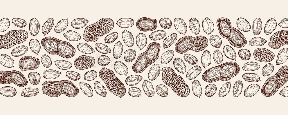 Vector Peanuts Banner, Peanuts Icons Stock Vector - Illustration of ...