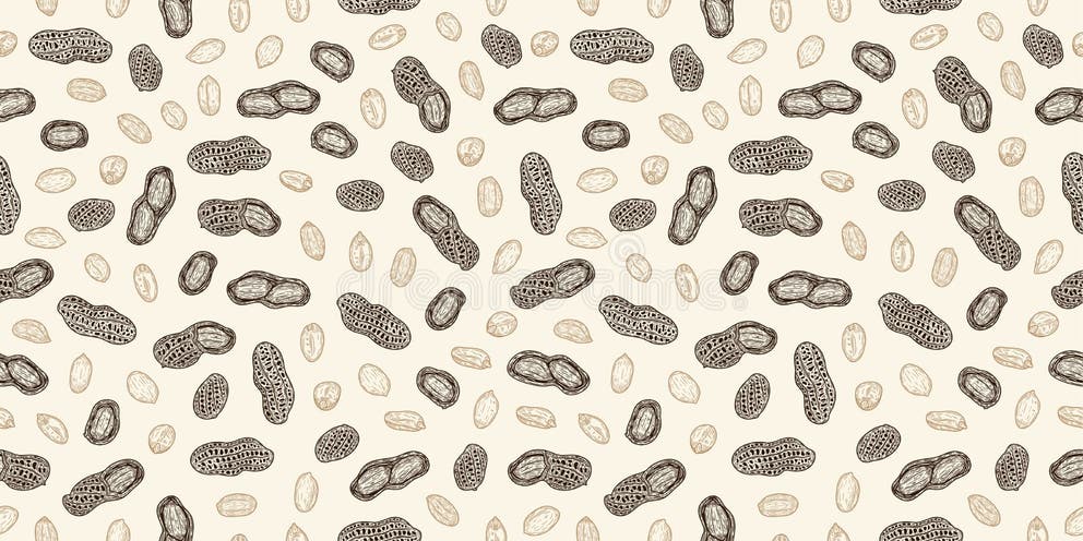 Vector Peanut Shells and Seeds Seamless Pattern Stock Vector ...