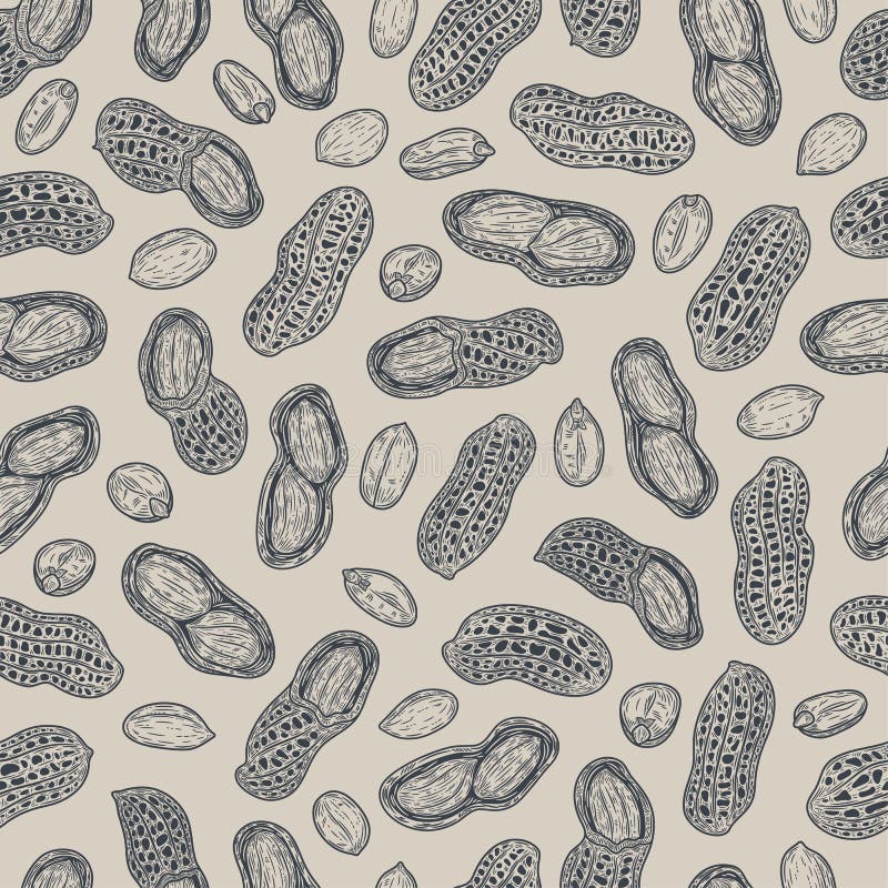 Vector Peanut Shells and Seeds Seamless Pattern Stock Vector ...