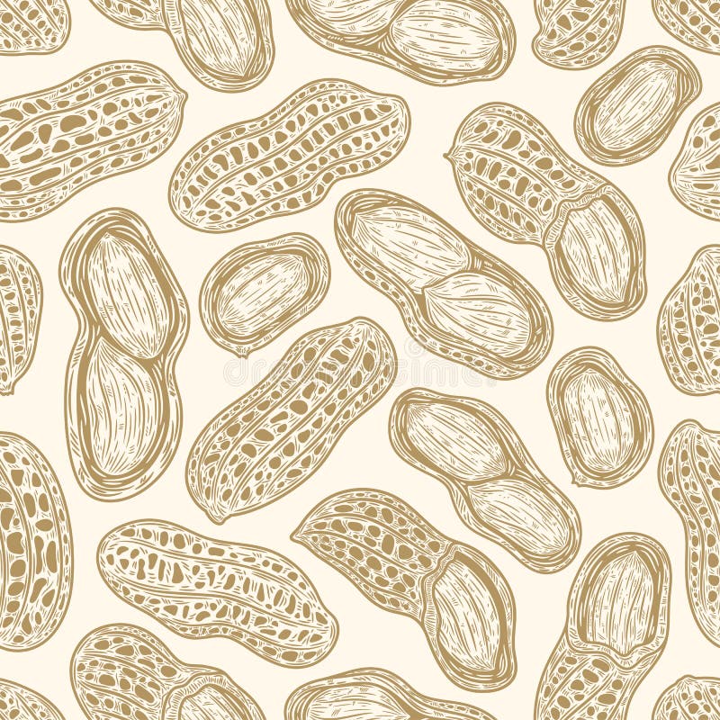 Vector Peanuts Whole and Pieces in Cartoon Style for Label Template, Snacks Packaging Emblem ...