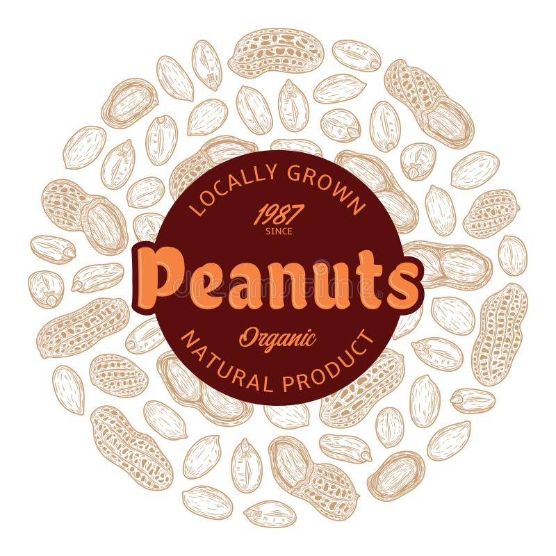 Vector Peanuts Label, Peanut Seeds and Shells Icons Stock Vector ...