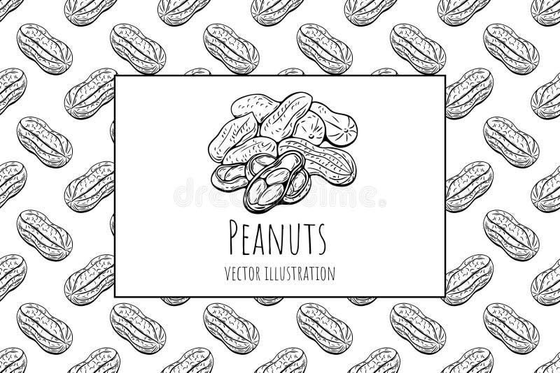 Seamless Hand-drawn Peanut Pattern in Black and White Outline Stock ...