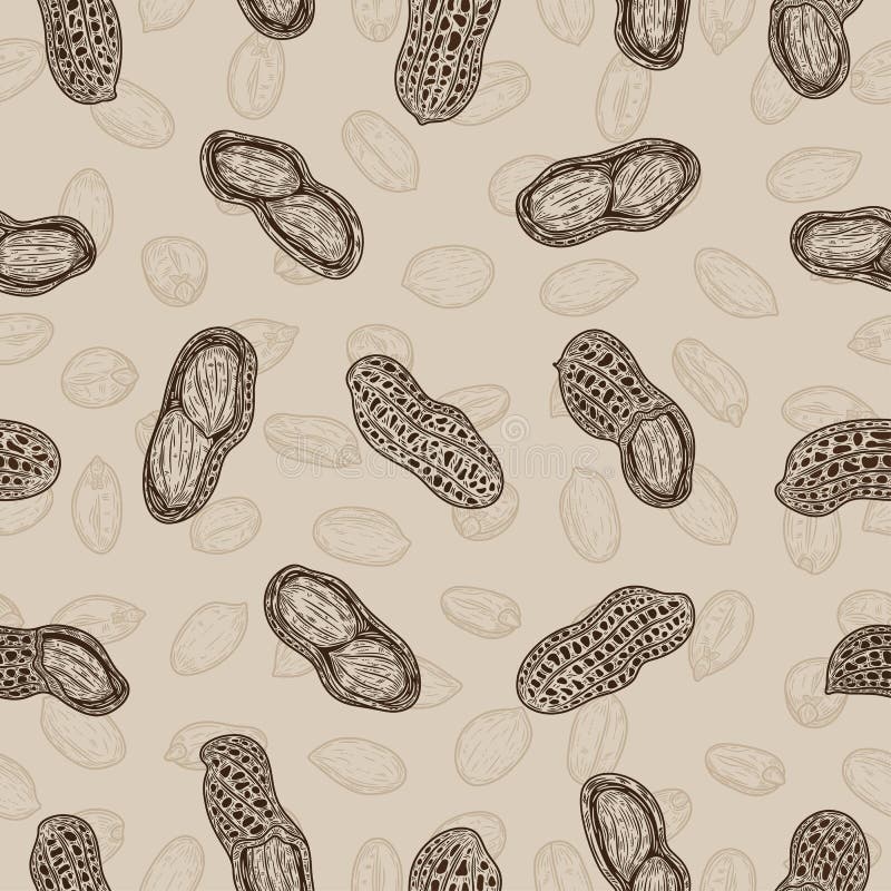 Open Peanuts Shell Stock Illustrations – 219 Open Peanuts Shell Stock ...