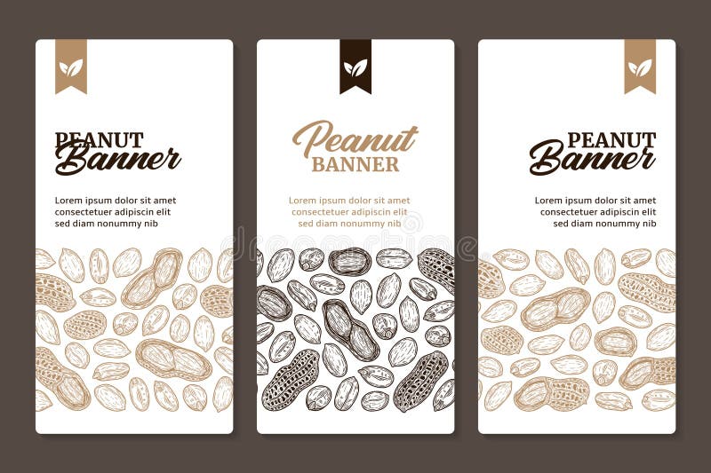 Vector Peanuts Vertical Banners or Flyers Stock Vector - Illustration ...