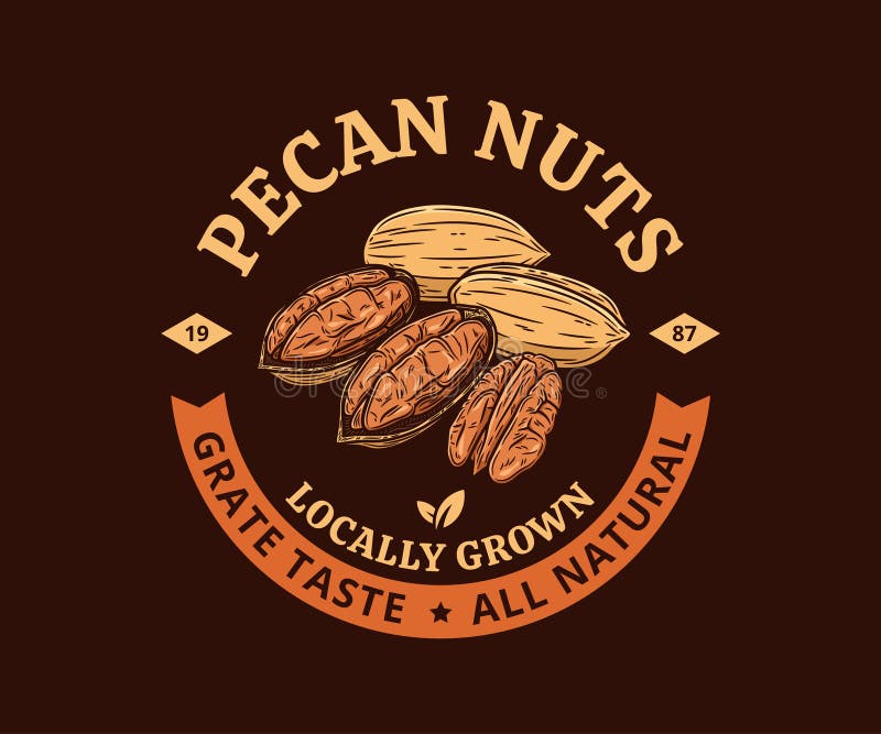 Vector pecan nut logo stock vector. Illustration of snack - 308836730