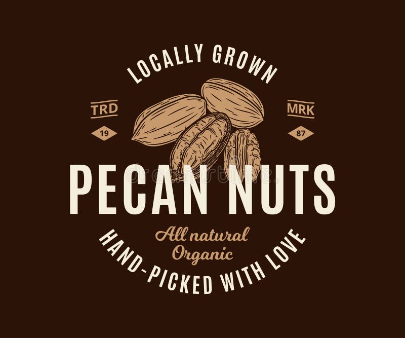 Vector pecan nut logo stock vector. Illustration of plant - 308836724