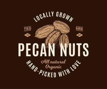 Vector pecan nut logo stock vector. Illustration of plant - 308836724