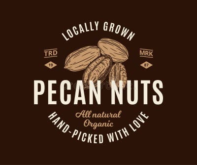 Vector pecan nut logo stock vector. Illustration of plant - 308836724
