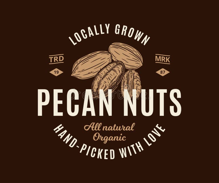 Vector pecan nut logo stock vector. Illustration of plant - 308836724