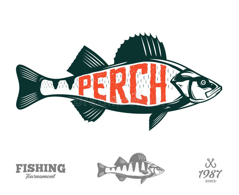 Perch Fish Bend with Crossed Fishing Rod in Engrving Style. Logo for ...