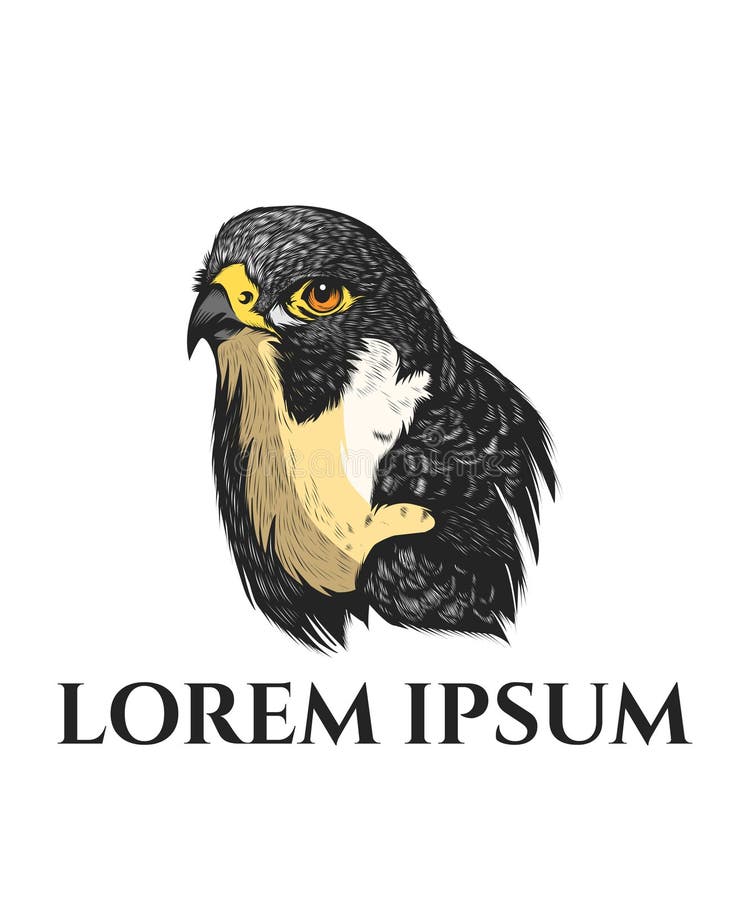 Vector Peregrine Falcon Illustration Art Stock Vector - Illustration of ...