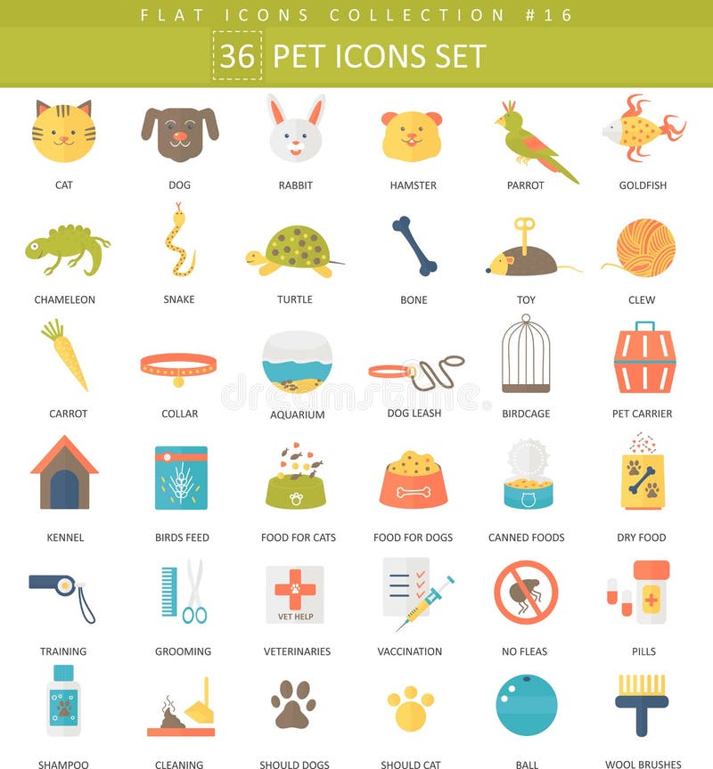 Vector Pet Color Flat Icon Set. Elegant Style Design. Stock Vector ...