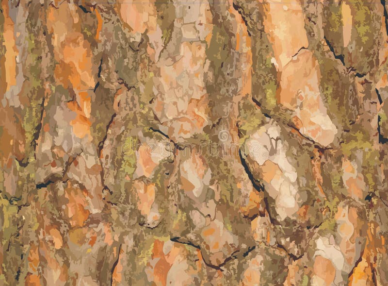 Vector Pine bark stock vector. Illustration of bark, vector - 17955961