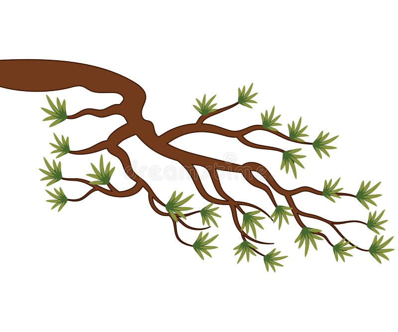 Vector Pine Tree Branch. Pine Tree Branch Vector Illustration Stock ...