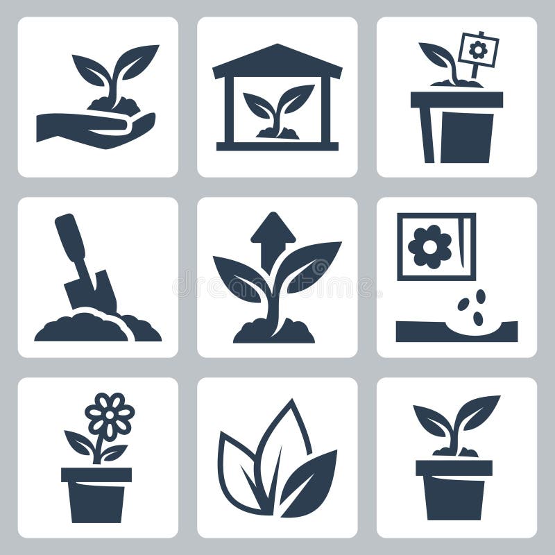Icon Set Stages of How To Grow a Plant from Seeds. Stock Vector ...