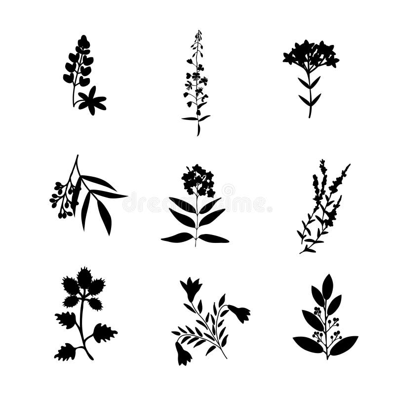 Vector plants set stock vector. Illustration of spring - 231041887